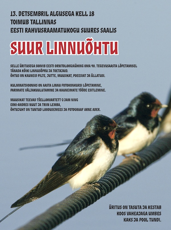 Uudised | Suitsupääsuke – Aasta lind 2011